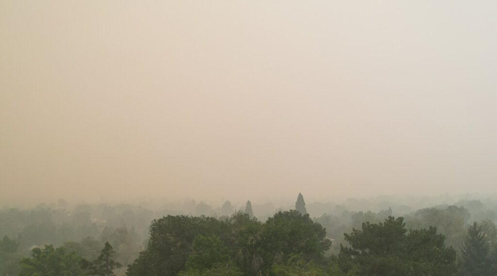 Particulate Air Pollution and Protection